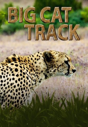 Big Cat Track (2006): Where to Watch and Stream Online | Reelgood