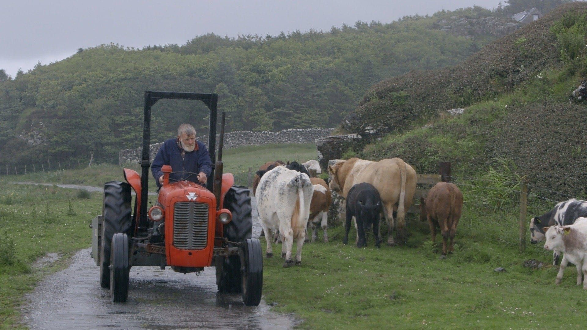 Prince of Muck (2021) - Watch on Prime Video or Streaming Online | Reelgood