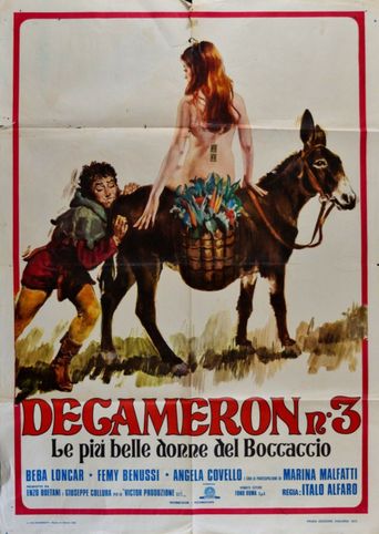 Decameron n° 3 - Le più belle donne del Boccaccio (1972): Where to ...