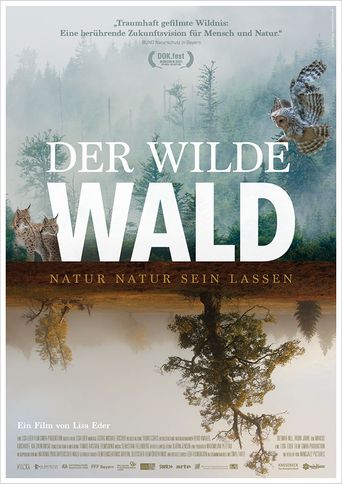 Der Wilde Wald (2021): Where to Watch and Stream Online | Reelgood