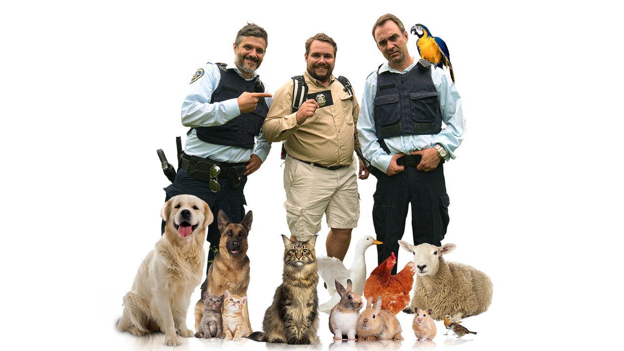 Animal Security: Where to Watch and Stream Online | Reelgood