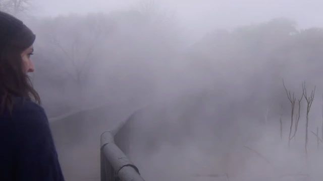 Round the Decay (2024): Where to Watch and Stream Online | Reelgood