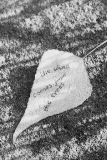 Messages (1984): Where to Watch and Stream Online | Reelgood