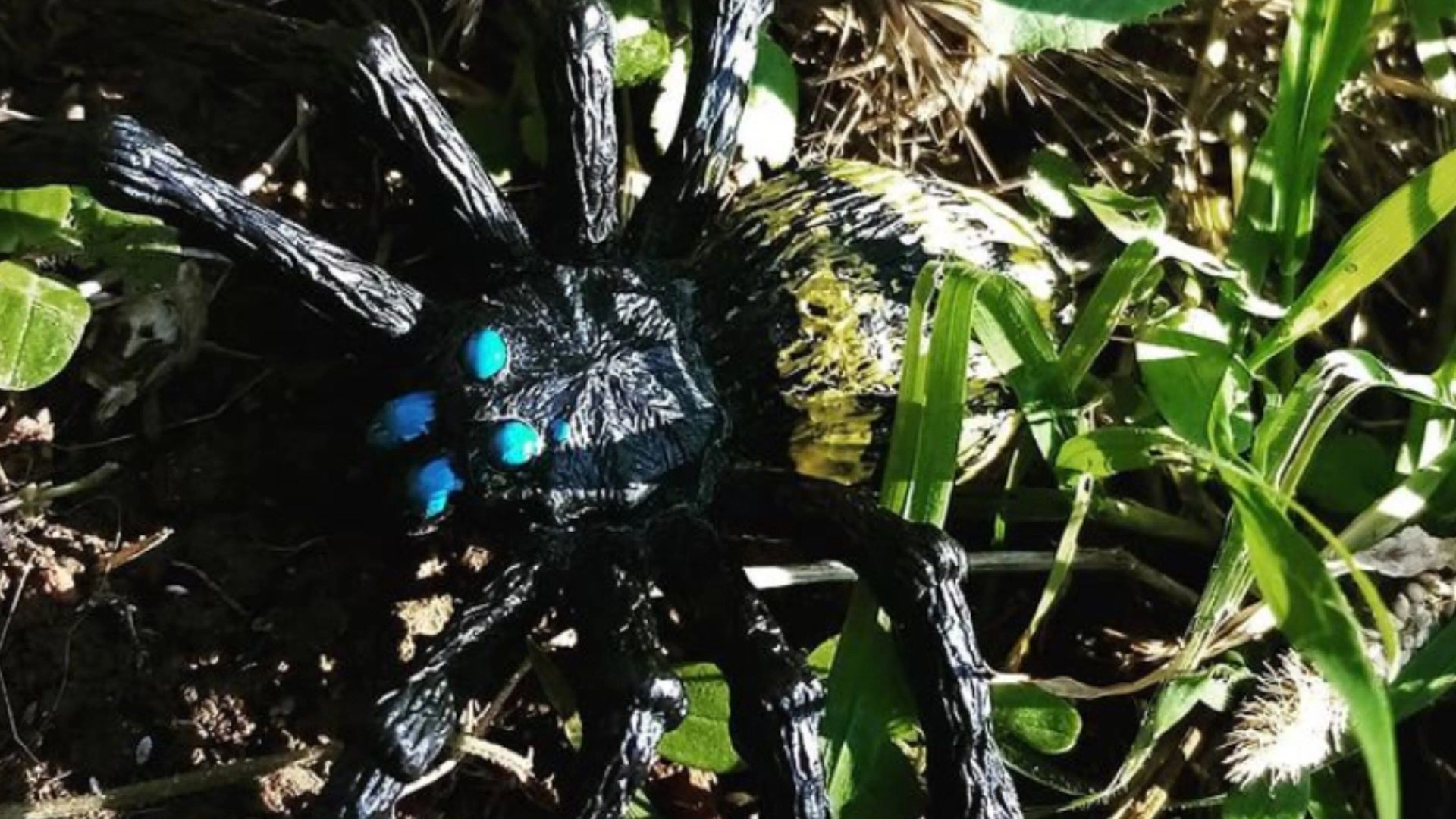 Godzilla: Heritage (2021) - Where to Watch It Streaming Online | Reelgood