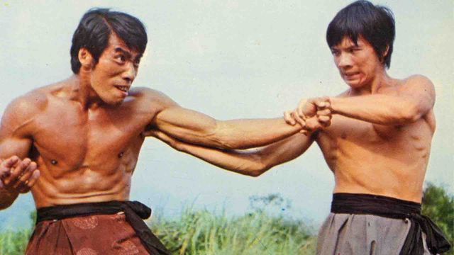 Meng hu dou kuang long (1974): Where to Watch and Stream Online | Reelgood