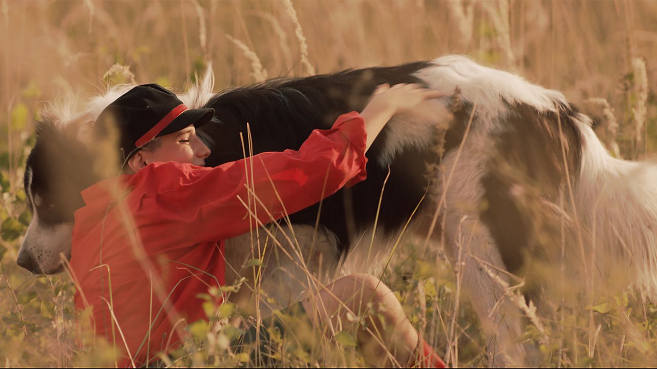 Segrt Hlapic (2013): Where to Watch and Stream Online | Reelgood