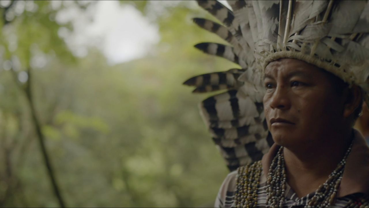 The Letter: Laudato Si' Film (2022): Where to Watch and Stream Online ...