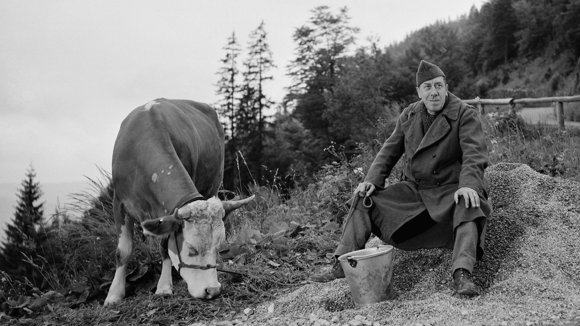 The Cow and I (1959) - Where to Watch It Streaming Online | Reelgood