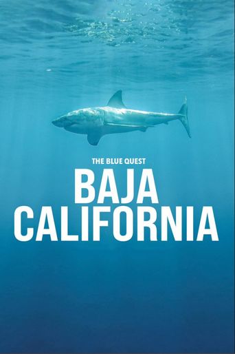 The Blue Quest Baja California (2020): Where to Watch and Stream Online ...