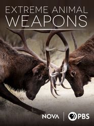 Extreme Animal Weapons: Where to Watch and Stream Online | Reelgood