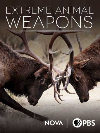 Extreme Animal Weapons: Where to Watch and Stream Online | Reelgood