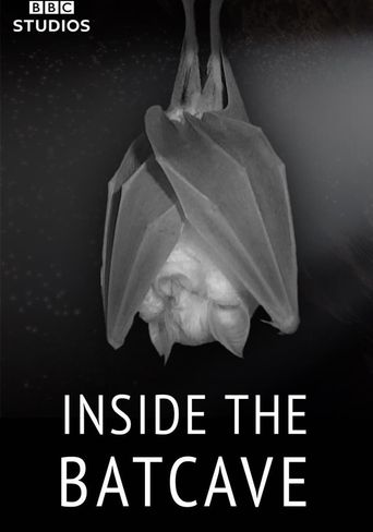 Inside the Bat Cave (2020): Where to Watch and Stream Online | Reelgood