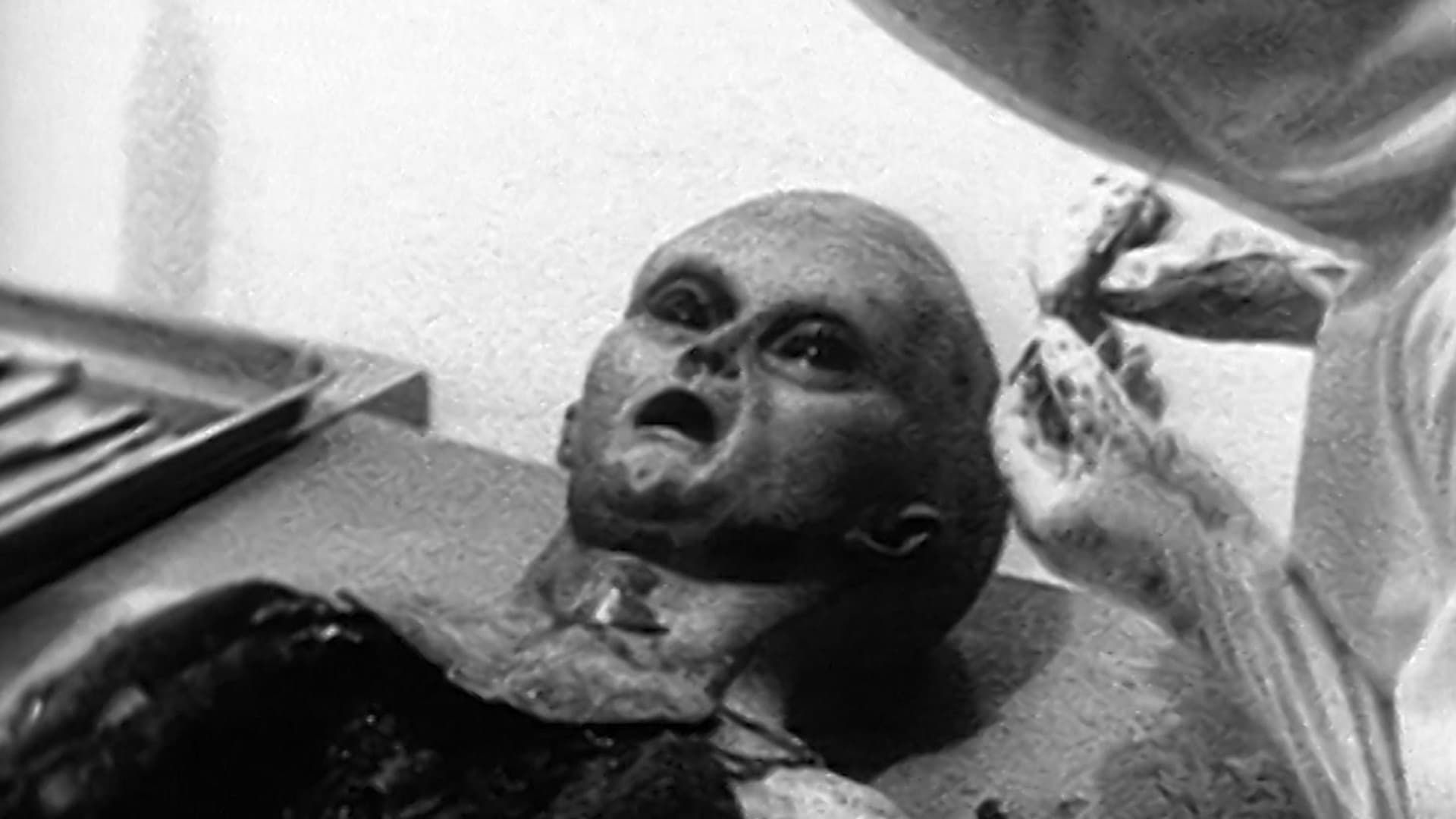 Alien Investigation (2019) - Where to Watch It Streaming Online ...