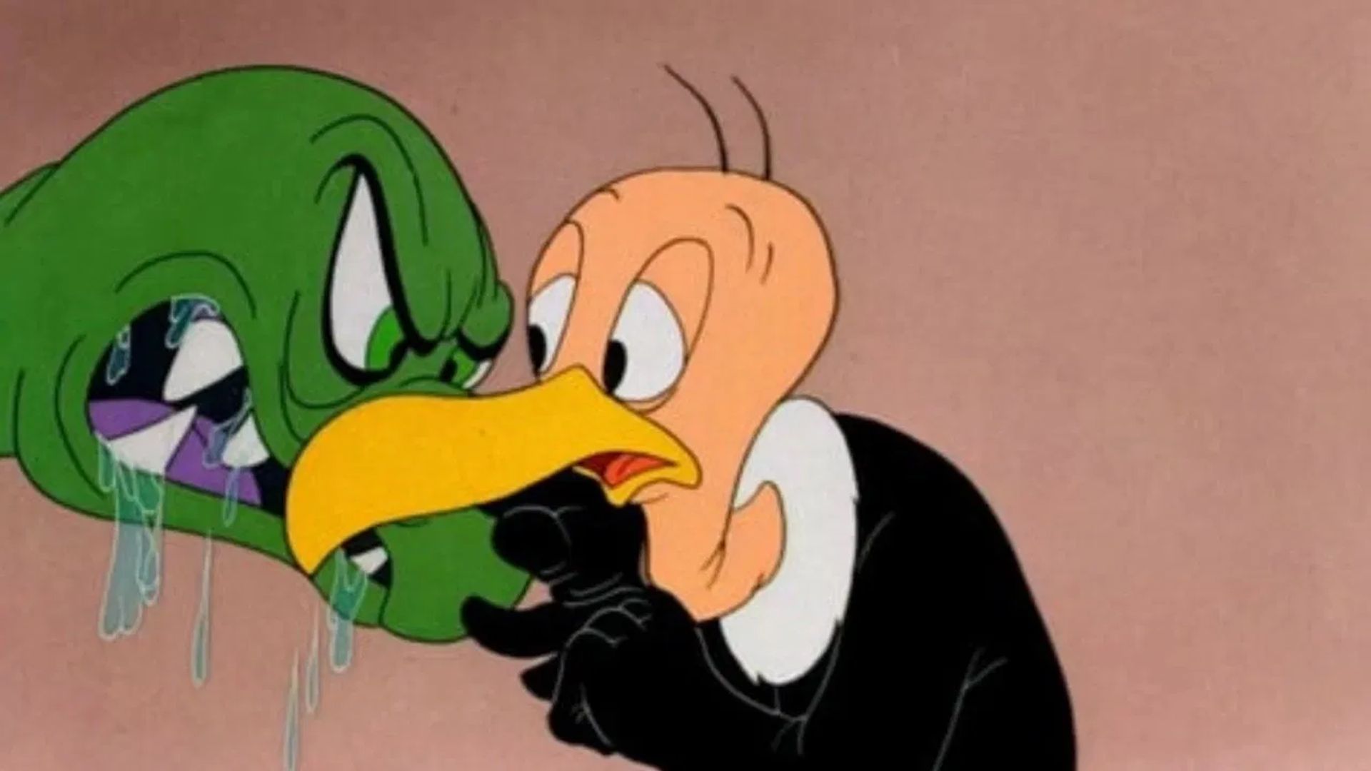 Beaky Buzzard Wallpaper