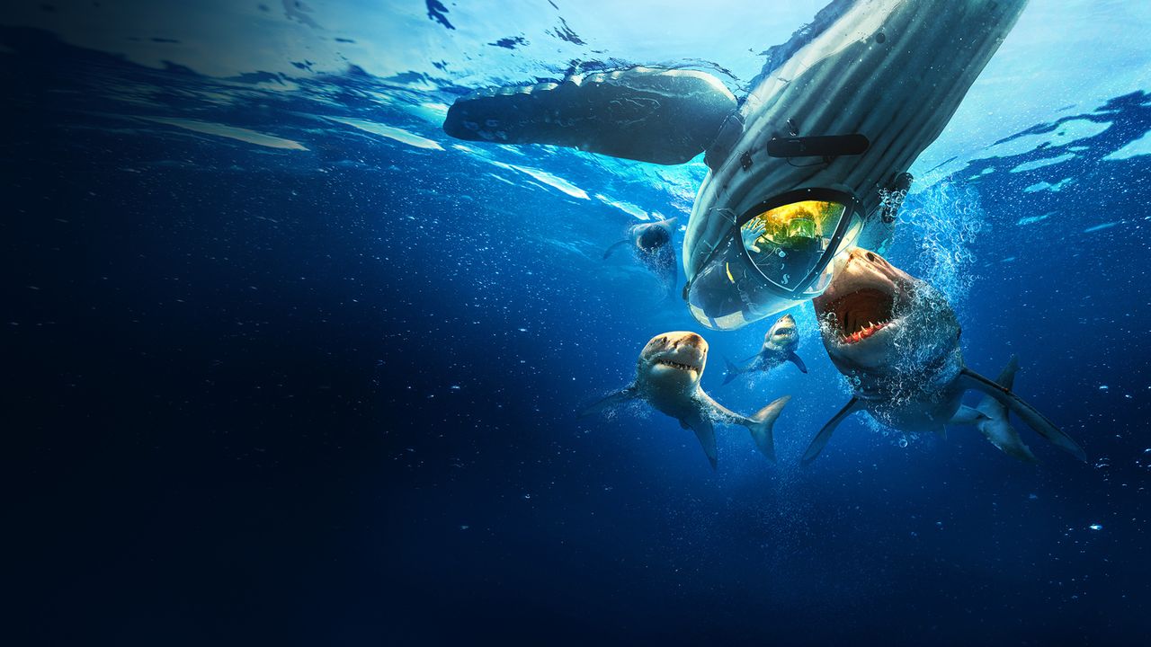 Belly of the Beast: Feeding Frenzy (2023): Where to Watch and Stream ...