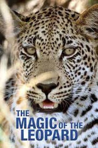 The Magic of the Leopard (2012): Where to Watch and Stream Online ...