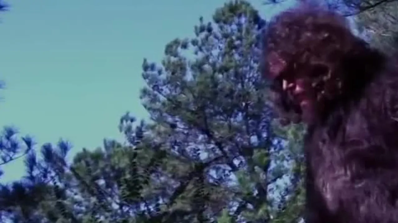 Bridgewater Triangle: Paranormal Vortex (2022): Where to Watch and ...