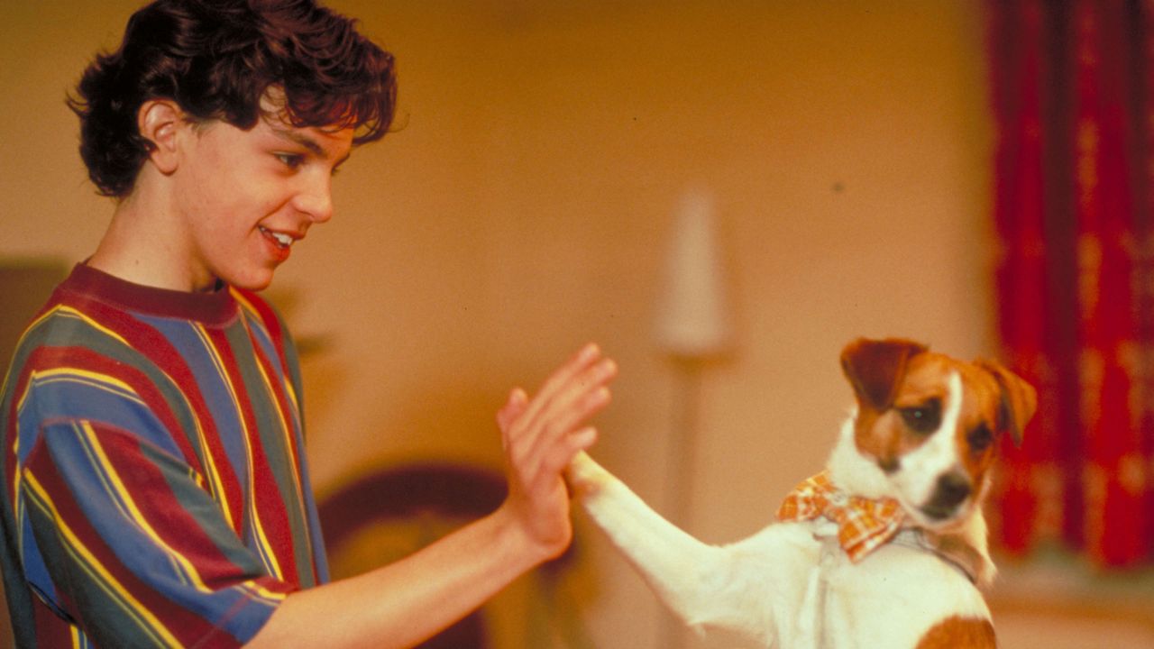 Paws (1997): Where to Watch and Stream Online | Reelgood