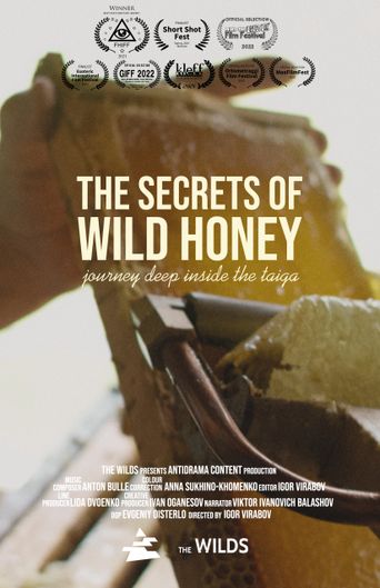 The Secrets of Wild Honey: Where to Watch and Stream Online | Reelgood
