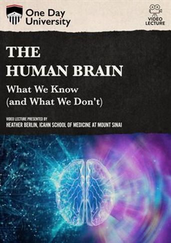 The Human Brain: What We Know (and What We Don't) (2021): Where to ...