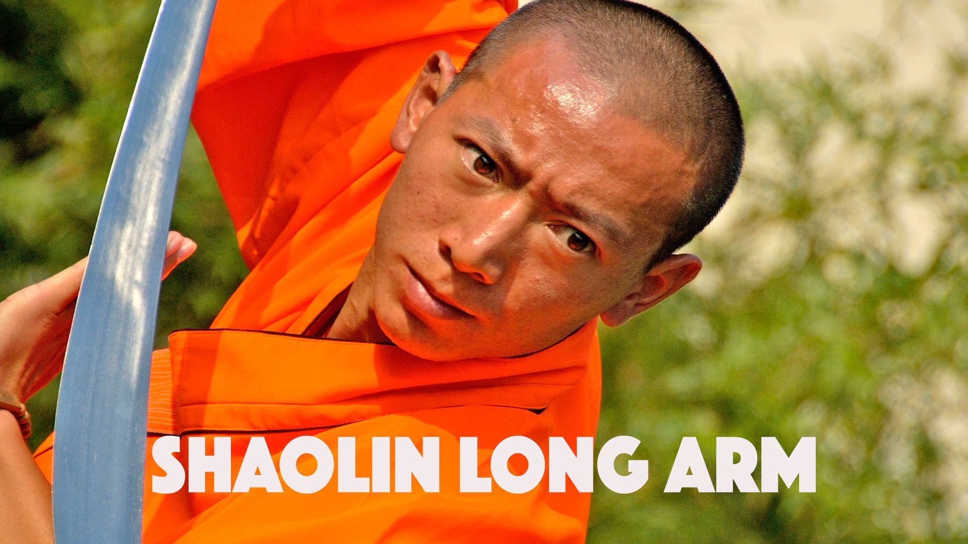 Shaolin Long Arm (1974) - Where to Watch It Streaming Online Available ...