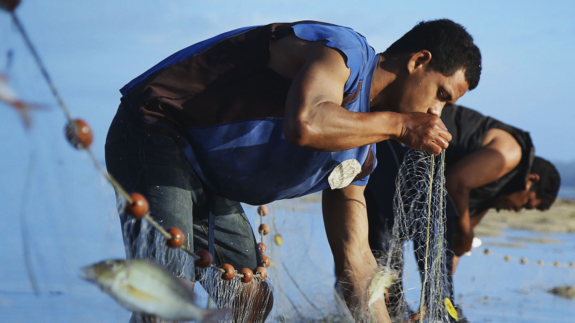 An Ocean Mystery: The Missing Catch (2016) - Watch on fuboTV ...