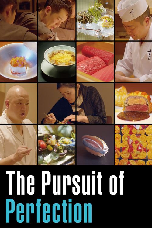 The Pursuit of Perfection (2024): Where to Watch and Stream Online ...