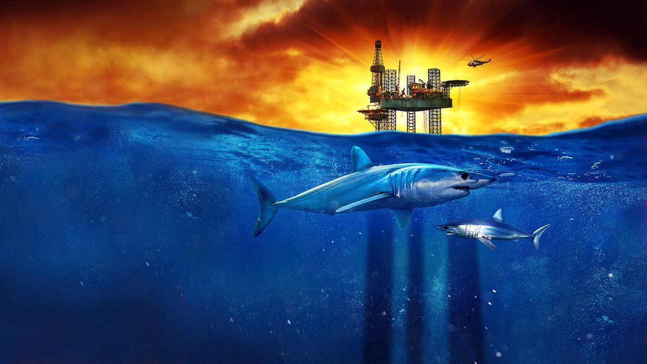 Monster Mako Under the Rig (2022): Where to Watch and Stream Online ...