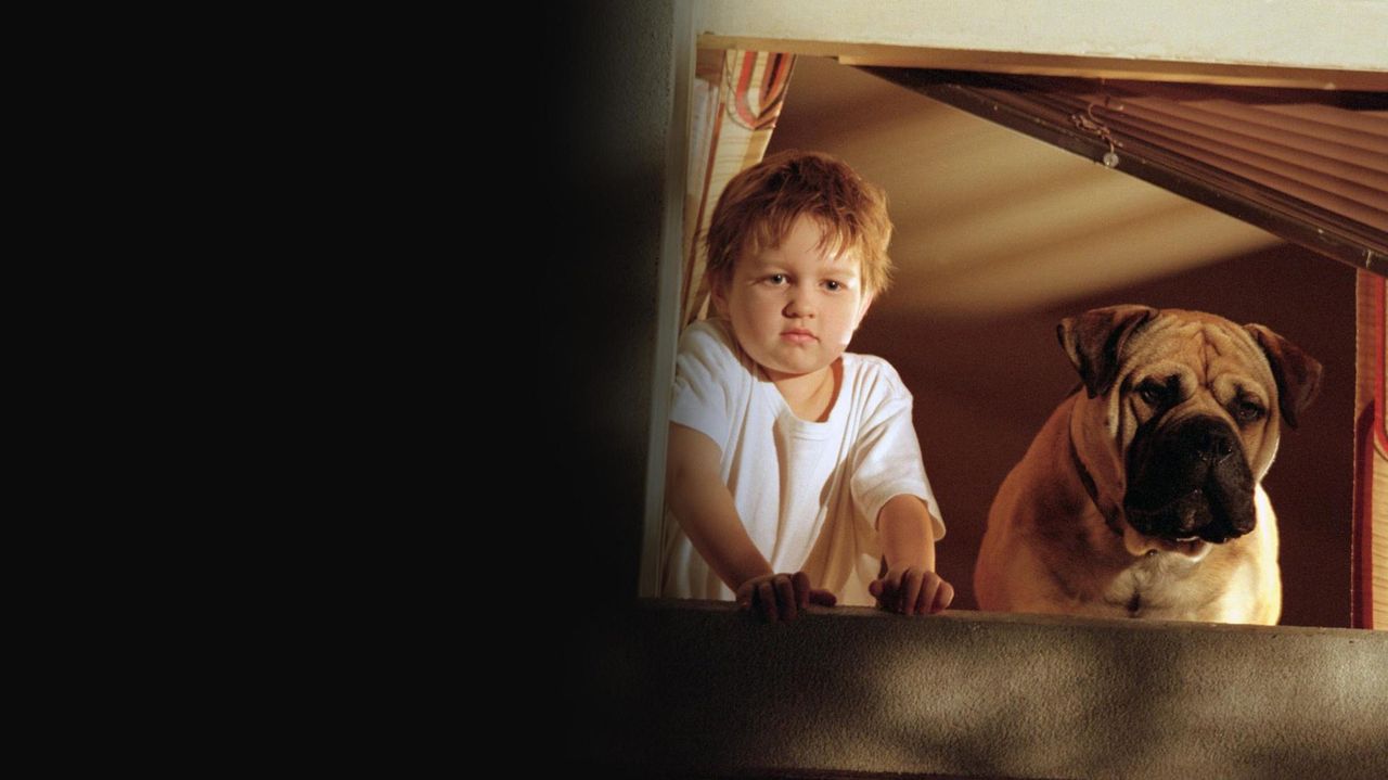 See Spot Run (2001): Where to Watch and Stream Online | Reelgood