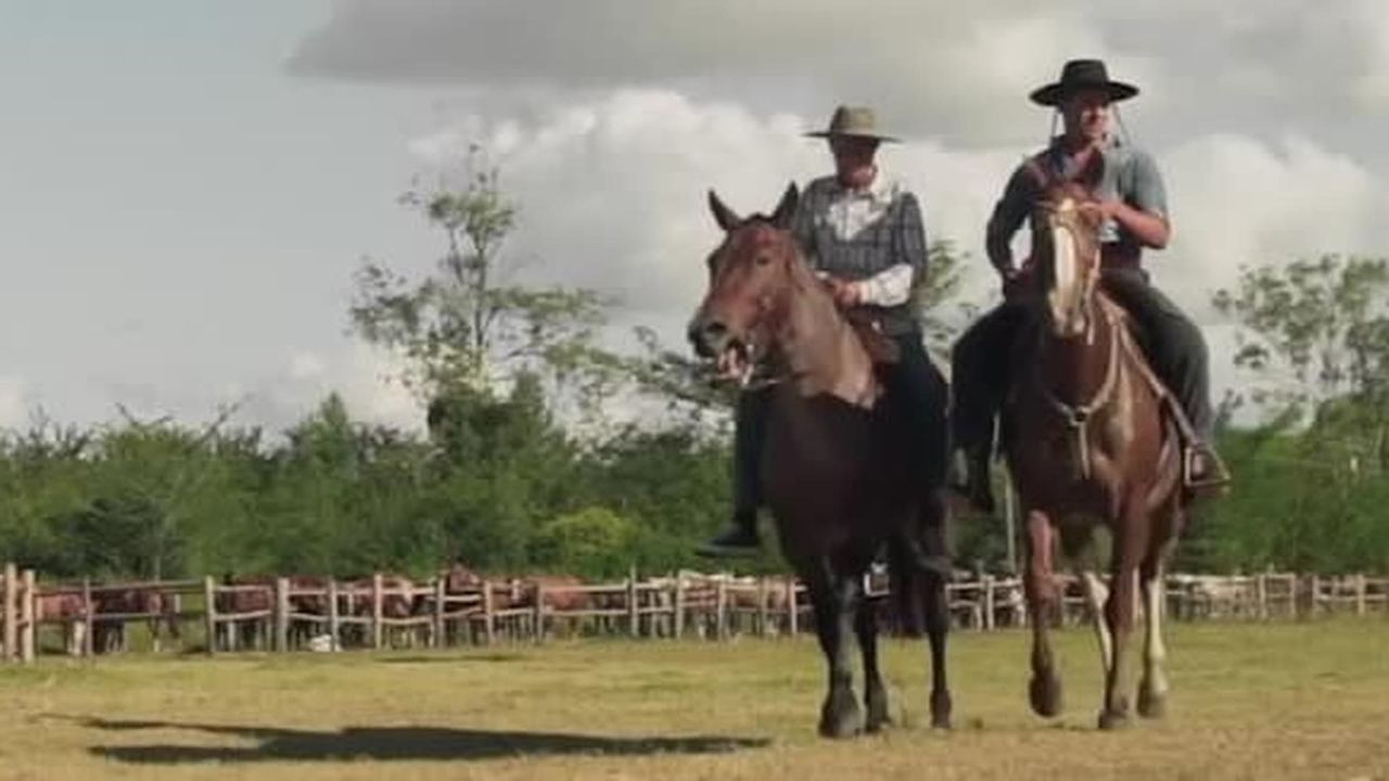 Criollo (2021): Where to Watch and Stream Online | Reelgood