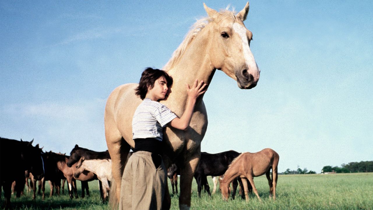 Summer of the Colt (1989): Where to Watch and Stream Online | Reelgood