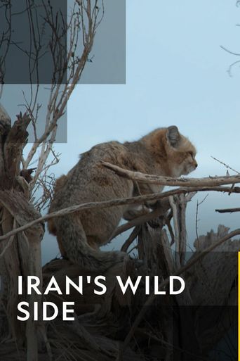 Iran's Wild Side (2019): Where to Watch and Stream Online | Reelgood