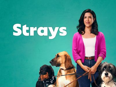 Strays: Where to Watch and Stream Online | Reelgood