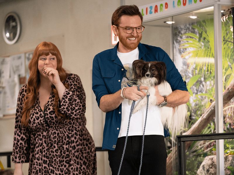 Strays: Where to Watch and Stream Online | Reelgood