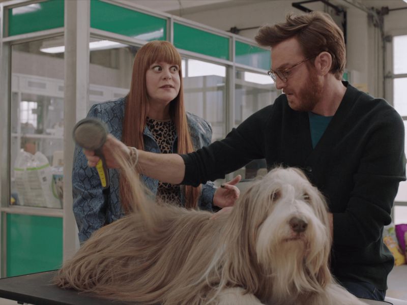 Strays: Where to Watch and Stream Online | Reelgood