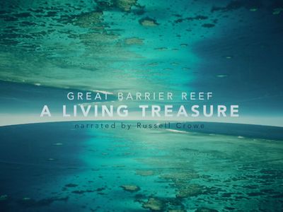 The Great Barrier Reef: A Living Treasure Season 1: Where To Watch ...