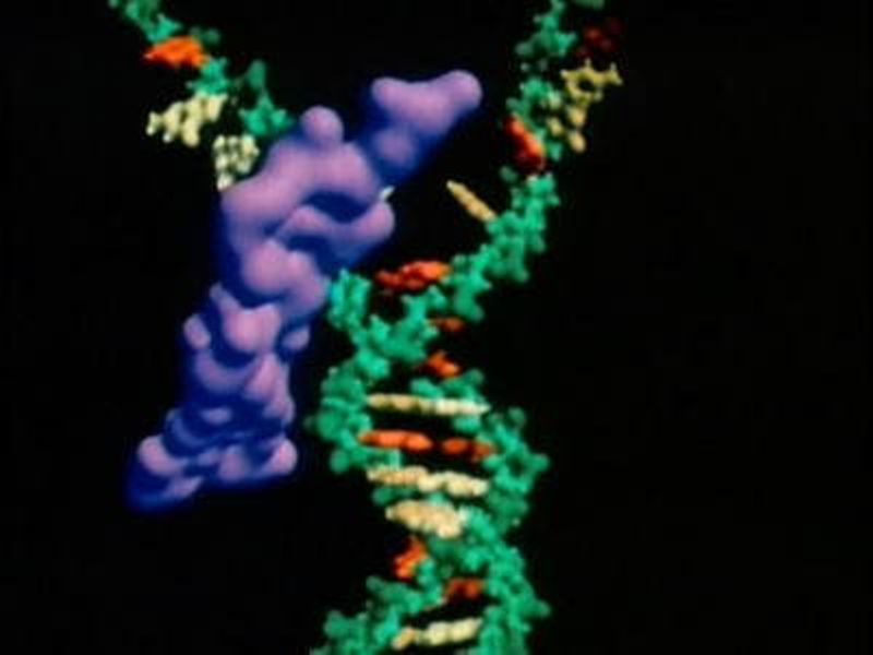 Cosmos: A Personal Voyage: Where to Watch and Stream Online | Reelgood