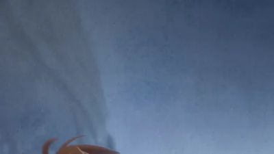 The Wingfeather Saga Season 3: Where To Watch Every Episode | Reelgood