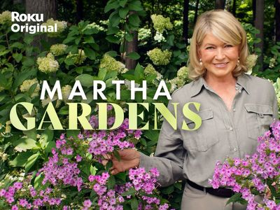 Martha Cooks Season 3: Where To Watch Every Episode | Reelgood