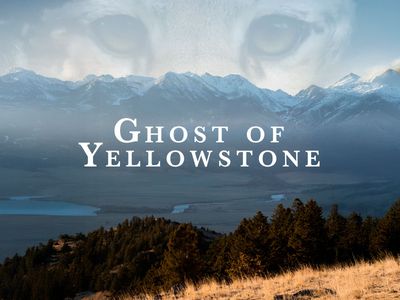 Ghost of Yellowstone Season 1: Where To Watch Every Episode | Reelgood