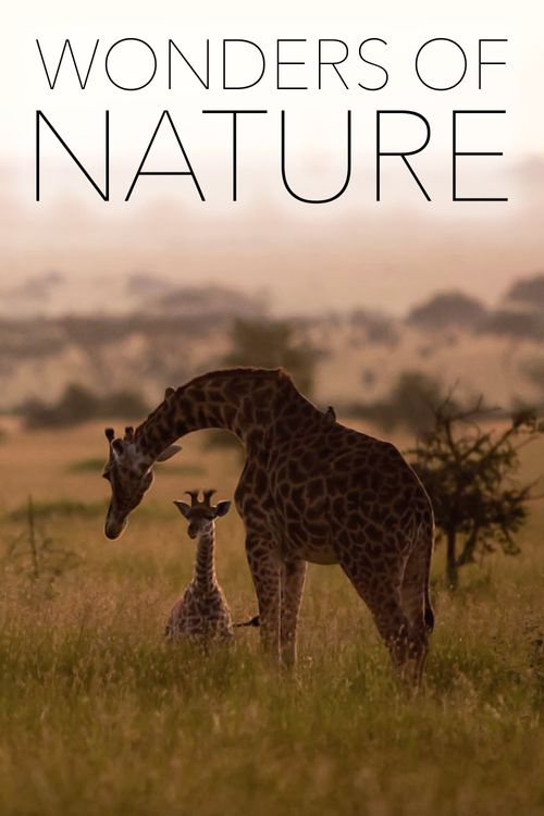 Wonders of Nature: User Lists | Reelgood