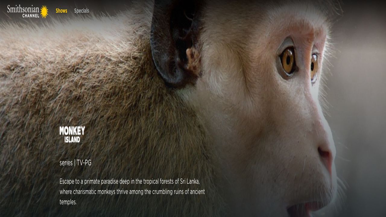 Monkey Island Season 1: Where To Watch Every Episode | Reelgood