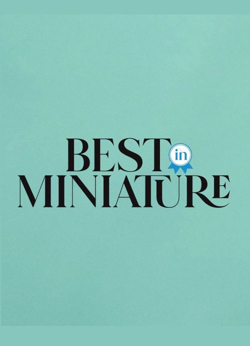 Best in Miniature Season 2: Where To Watch Every Episode | Reelgood