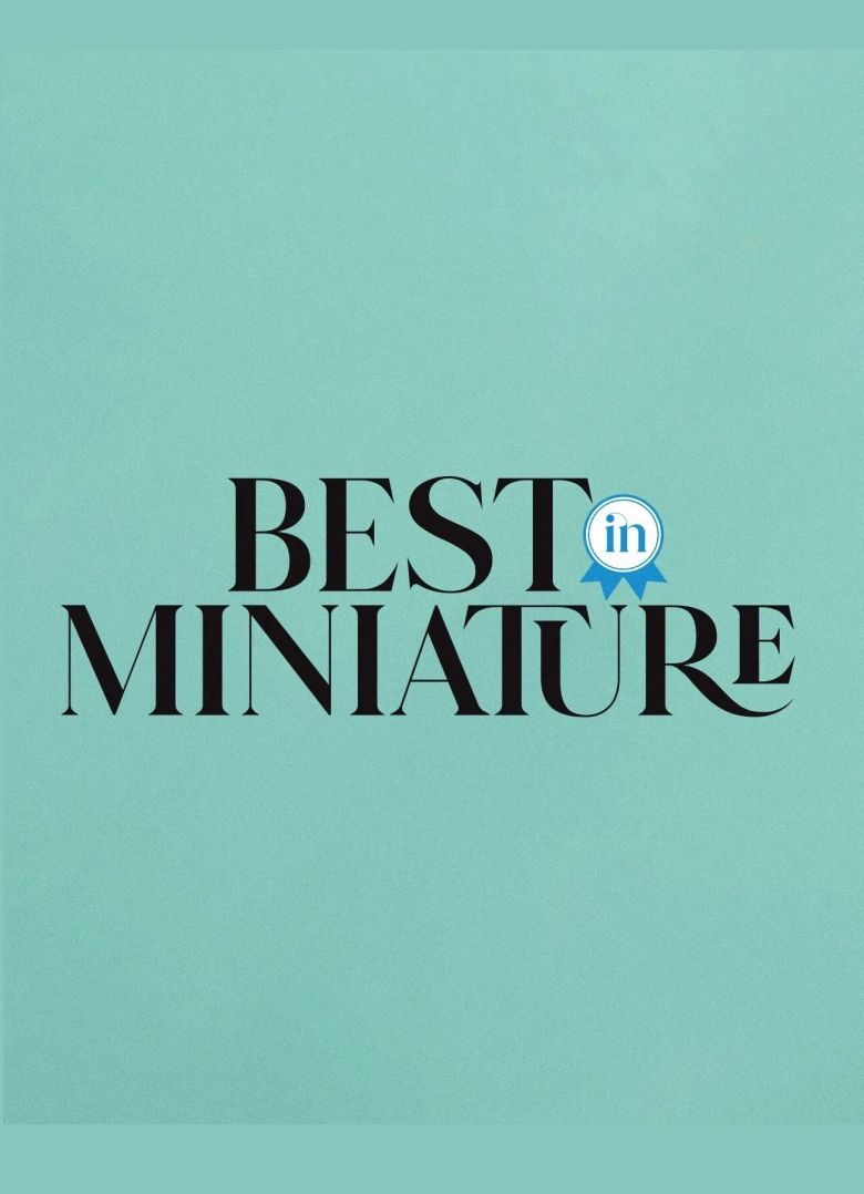 Best in Miniature - Where to Watch Every Episode Streaming Online ...