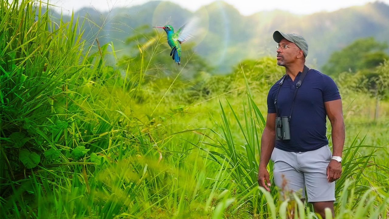 Extraordinary Birder with Christian Cooper: Where to Watch and Stream ...