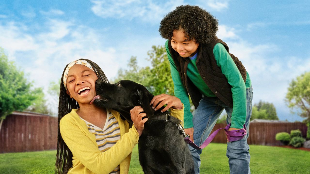 Puppy Place: Where to Watch and Stream Online | Reelgood