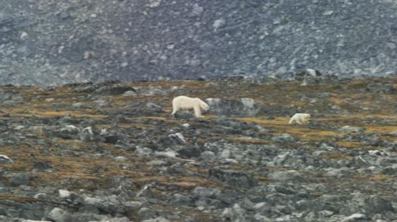 OceanXplorers: Where to Watch and Stream Online | Reelgood