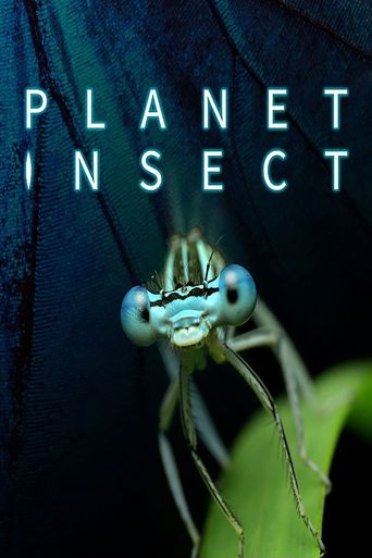 Planet Insect Season 1: Where To Watch Every Episode | Reelgood