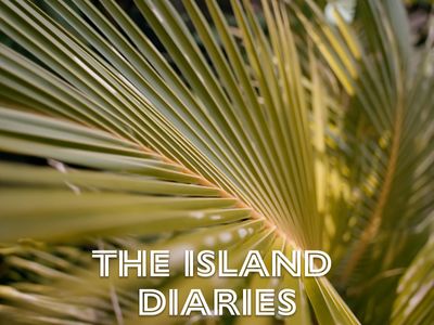 The Island Diaries: Where to Watch and Stream Online | Reelgood