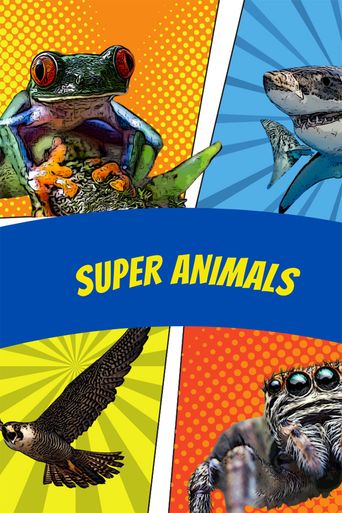 Super Animals Season 1: Where To Watch Every Episode | Reelgood